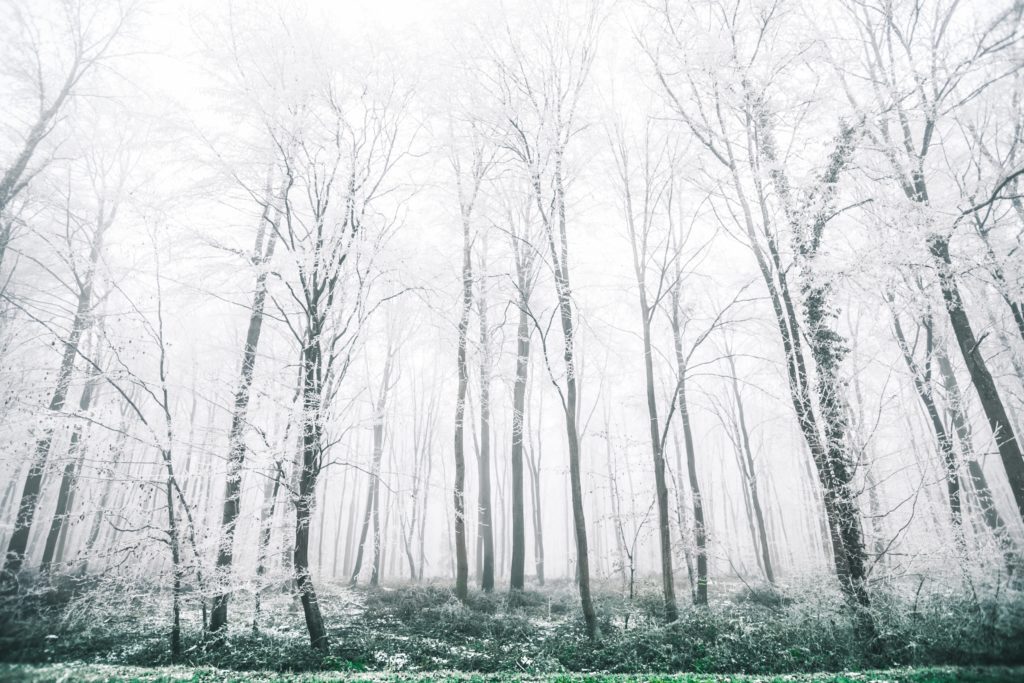 Five Things We Get Wrong About Pursuing Happiness - Left Brain Buddha
